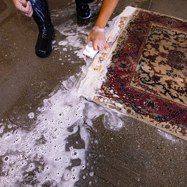 Rug Cleaners - Professional Area Rug Cleaning - Babash Rug Services
